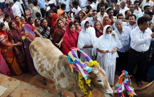 Beef Controversy: Sense And Nonsense