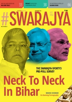 To Ban Or Not To Ban: Beyond Copy Cat Responses To Pornography