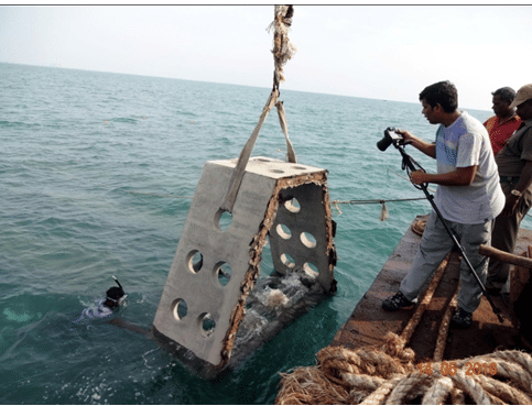 Saving Sinking Islands: Tamil Nadu Deploys Artificial Reefs In A First ...