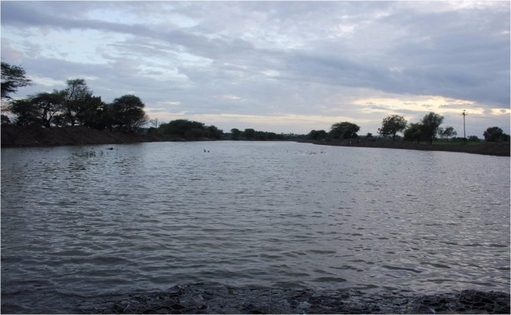 The Waters Flow Again: How The Kumudvathi River Was Revived