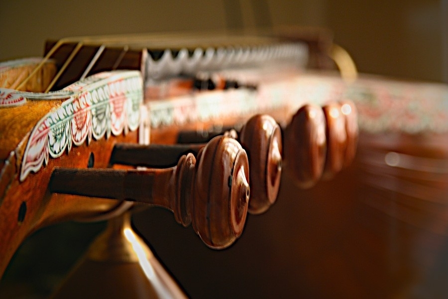 Carnatic Music: Cultural Appropriation Or Integration?