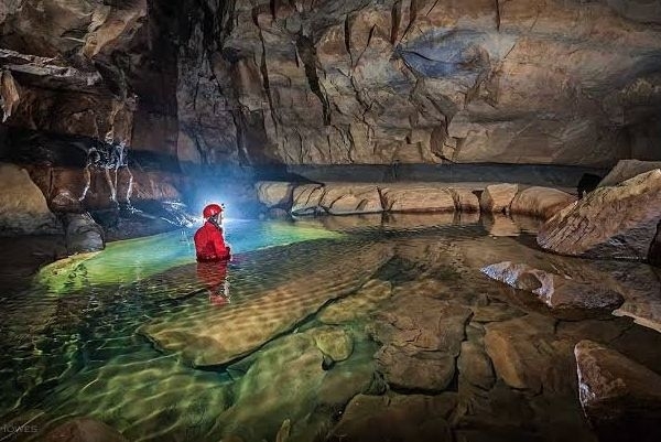 Explained: World’s Largest Cave Fish Recently Found In India May Offer ...