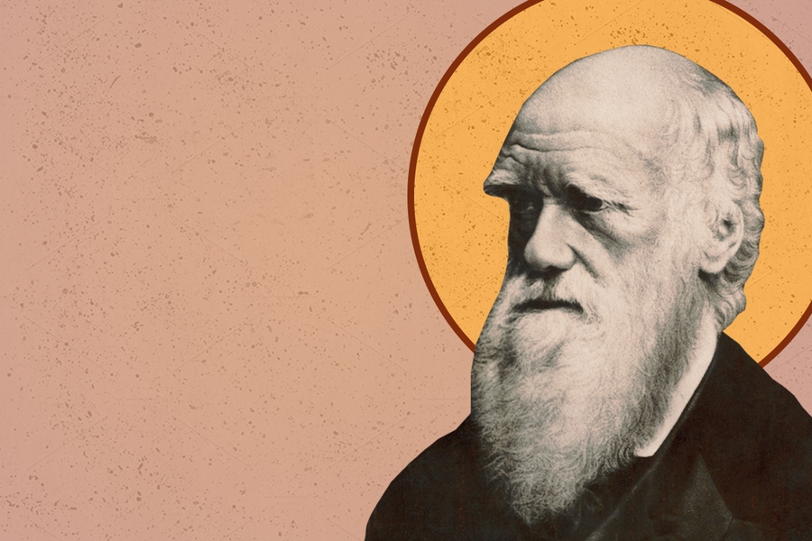 Seven Reasons Why We Should Celebrate Darwin’s Day