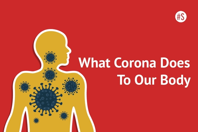 What Coronavirus Actually Does To Your Body