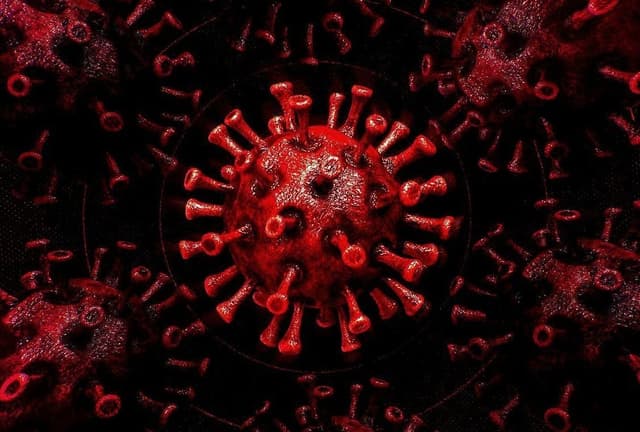 Scientists Develop First Open Source All-Atom Models Of Covid-19 ...