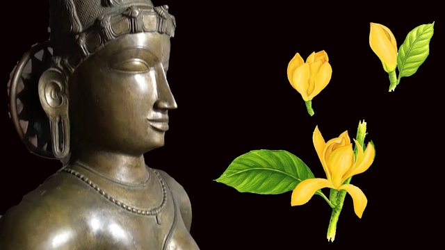 Random Meditations Through Her 1,000 Names (XIX): The Beauty Of Her Nose