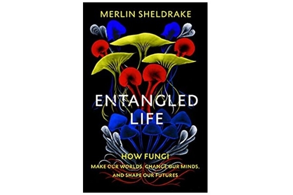This Book On Fungi Will Make You Wonder Where An Organism Ends And ...