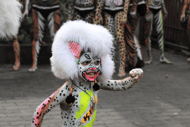 Pili Nalike: When Humans Transform Into Tigers To Please The Goddess