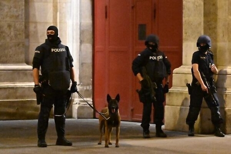 Vienna Shooting: Over 14 People Linked To 20-Year-Old Radical Islamist ...
