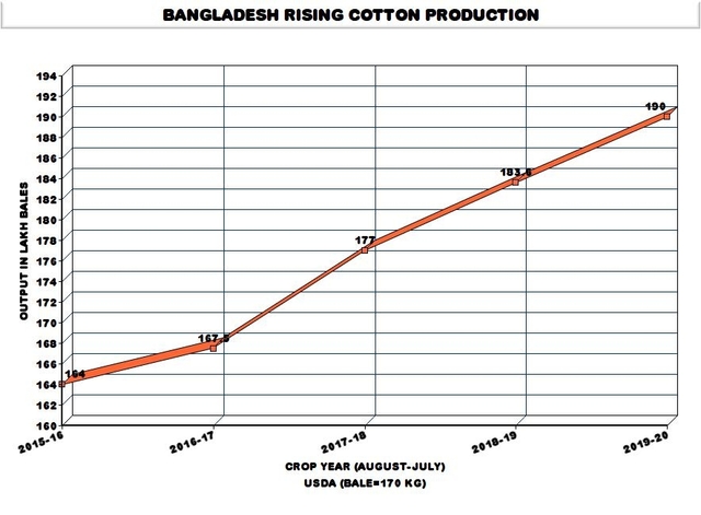 Bangladesh Conducts Field Trials Of Bt Cotton Even As India Drags Its ...
