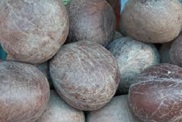 CCEA Chaired By PM Modi Approves Hikes In MSP Of Copra For 2021 Season