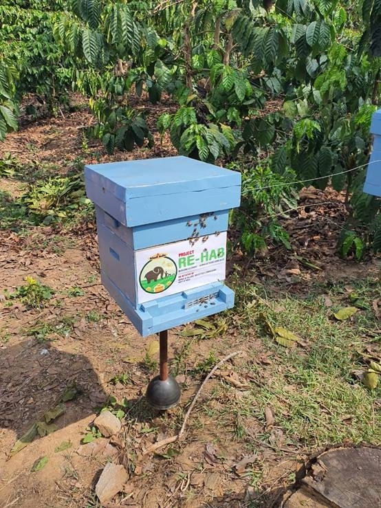 ‘Bee-Fences’ Set Up To Scare Away Elephants And Prevent Human-Animal ...
