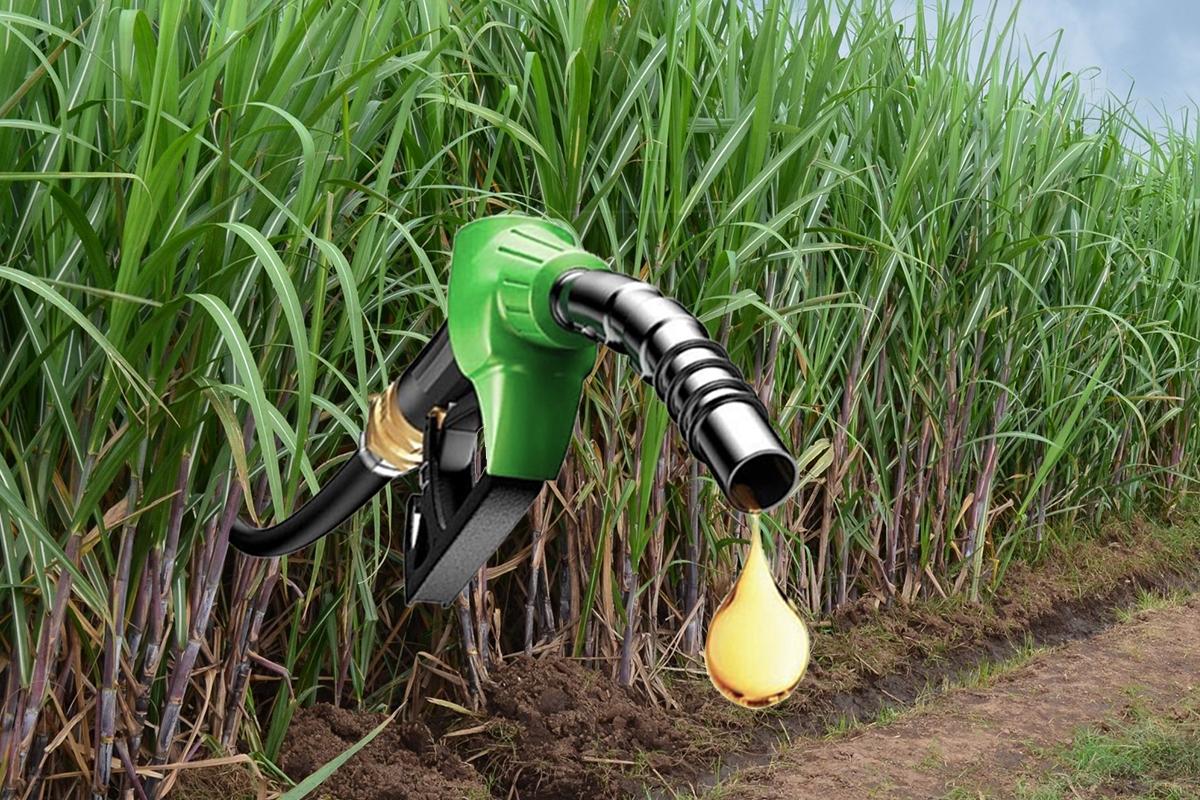 National Biofuel Policy: Government Advances 20 Per Cent Ethanol ...