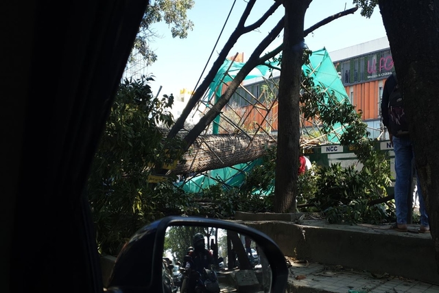 Two Killed As Pier Rebar Collapses At Metro Construction Site At Bengaluru