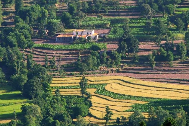 Roadmap For Rural Development: Government Working On ‘Model ...