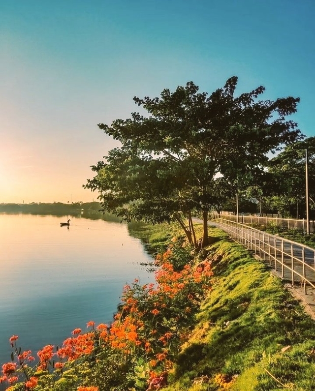 Explained: Revival Of Coimbatore's Seven Historic Lakes — A Smart City ...