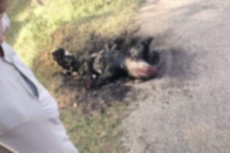 Partially Charred Body Of Woman Found In Jaipur Rural, BJP Leaders ...
