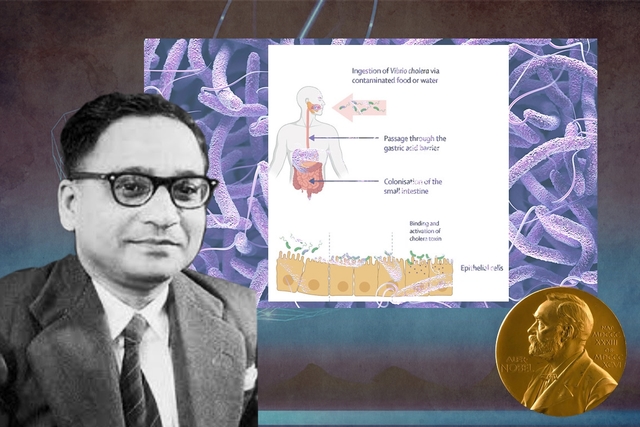 The Unsung Heroes: Pioneering Scientists Who Did Nobel-Worthy Work But ...