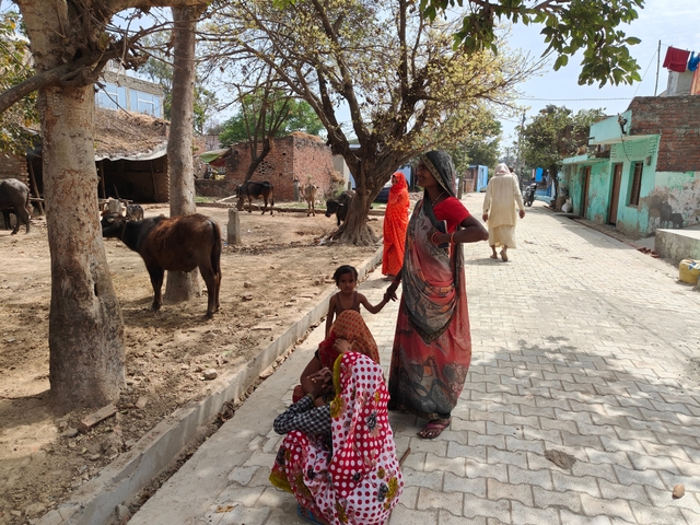 Dust And Debates In Pilibhit: Local Opinion Divided Over Varun Gandhi ...