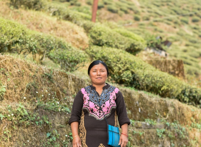 What Darjeeling's Tea Garden Workers Expect From Modi — A Ground Report