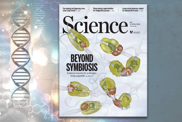 'Nitroplast': Why The Discovery Of This Organelle Is A Landmark Event ...