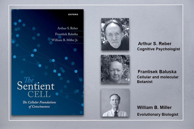 Do Cells Have Sentience? New Framework For Understanding Life And ...