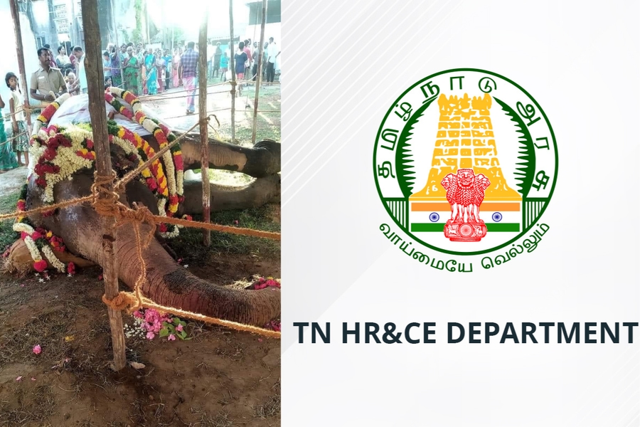 Tamil Nadu: Temple Elephant Subbulakshmi Dies Due To Injuries Sustained ...