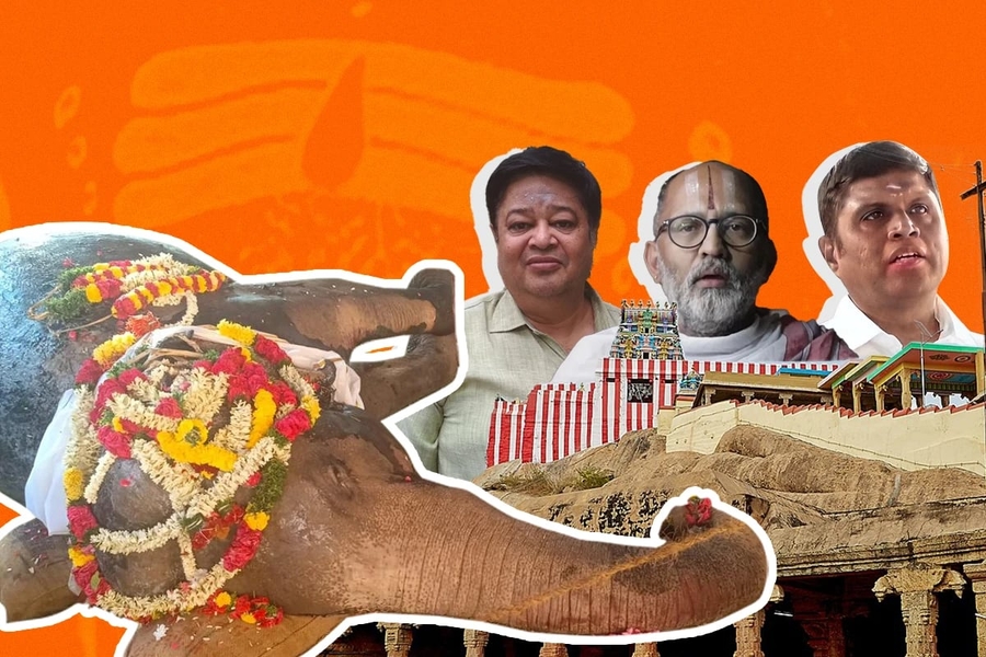 Subbulakshmi’s Tragic Death Highlights Grim Future For Temple Elephants ...