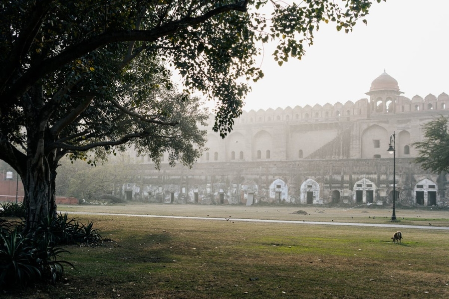 Delhi's Green Cover Declines Amid Air Pollution Concerns; Forest Area ...