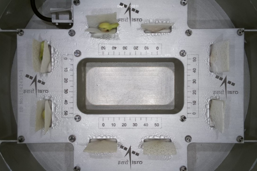 Microgravity 'Farming': ISRO Sprouts Cowpea Seeds In Space In POEM-4 ...