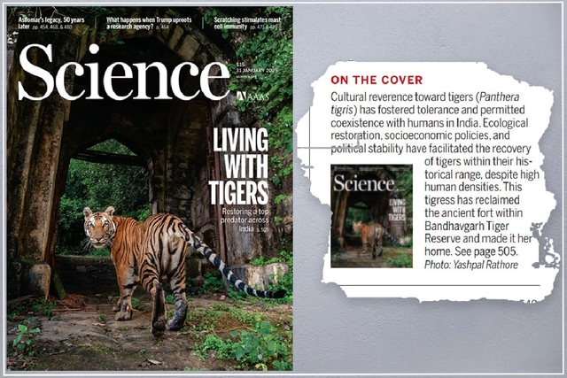 Eco-Dharmic Ethics: What World Can Learn From India's Tiger ...