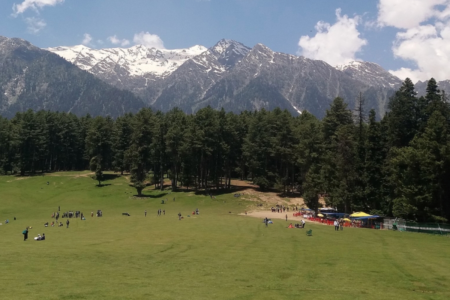 Terrorists Fired In 'Celebration' After 22 April Pahalgam Massacre, Key ...