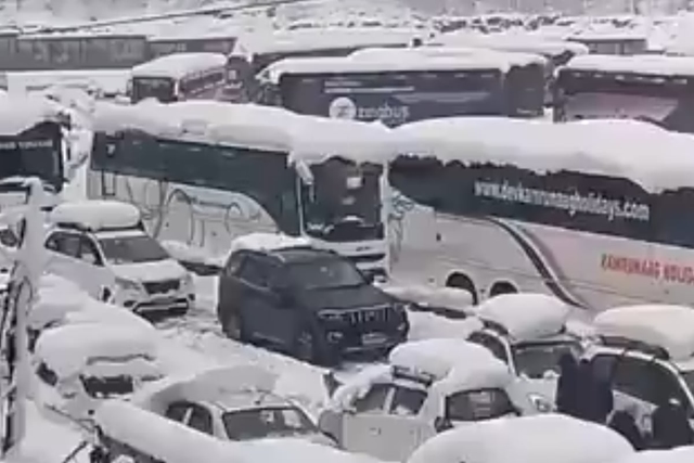 Snowfall Chaos In Himachal: Eight-Kilometre Jam, Road Closures Leave ...